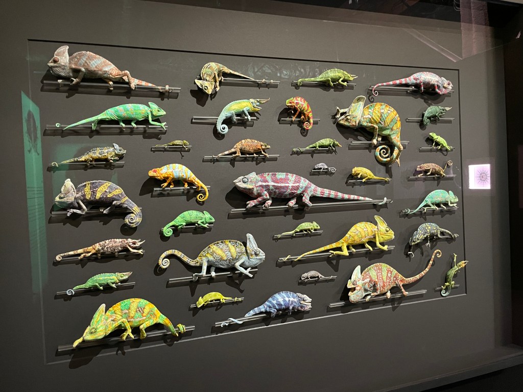 Biophilia – Annegsherwood.com