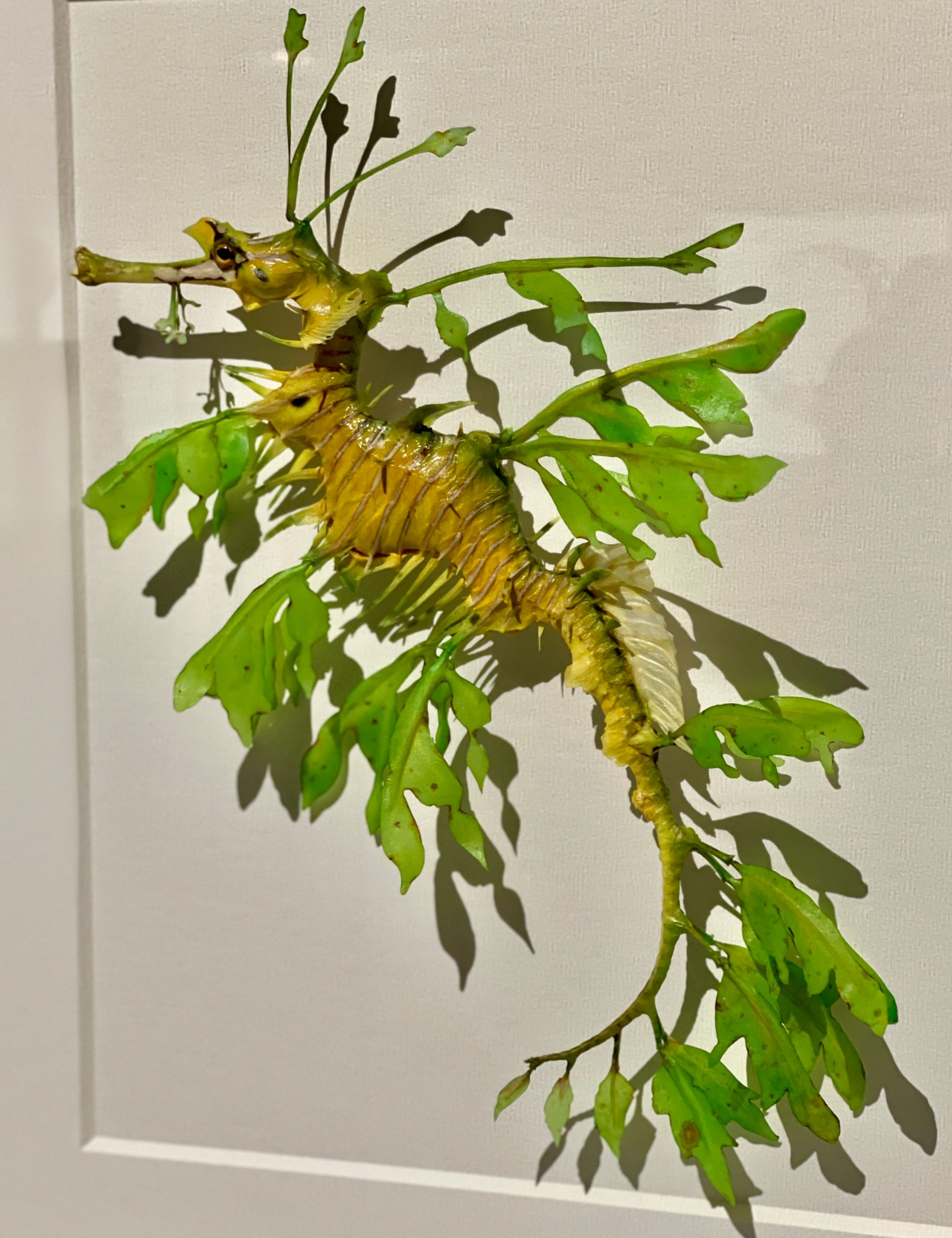 Biophilia – Annegsherwood.com